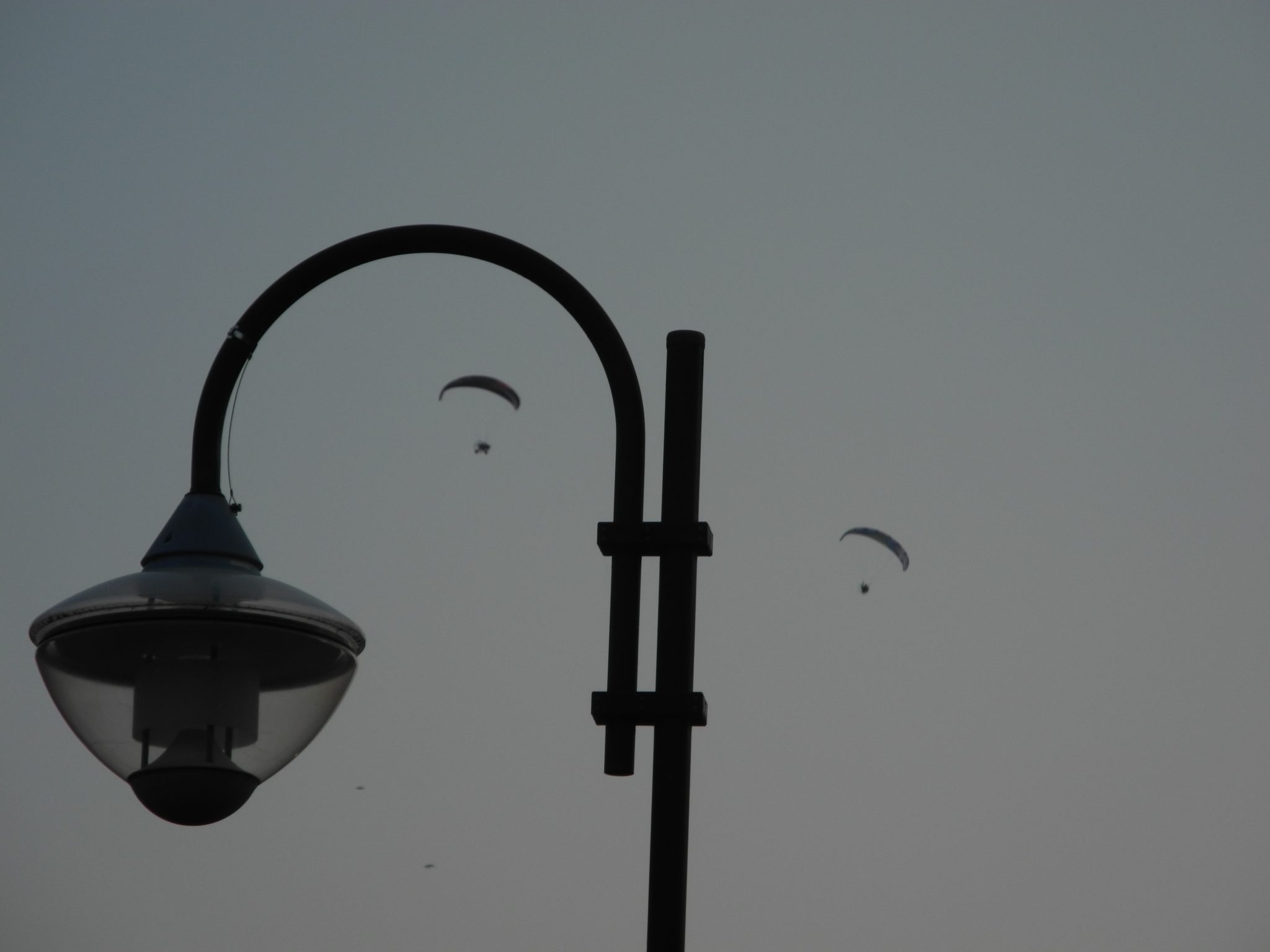 Redaktion "Das Flugblatt" & Musenverlag - Spontan im Internet - Blatt ...